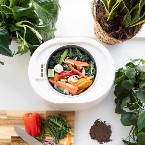 Lomi Compost Review - 2022 Cost, How It Works & Is It Worth It? - Kitchlit